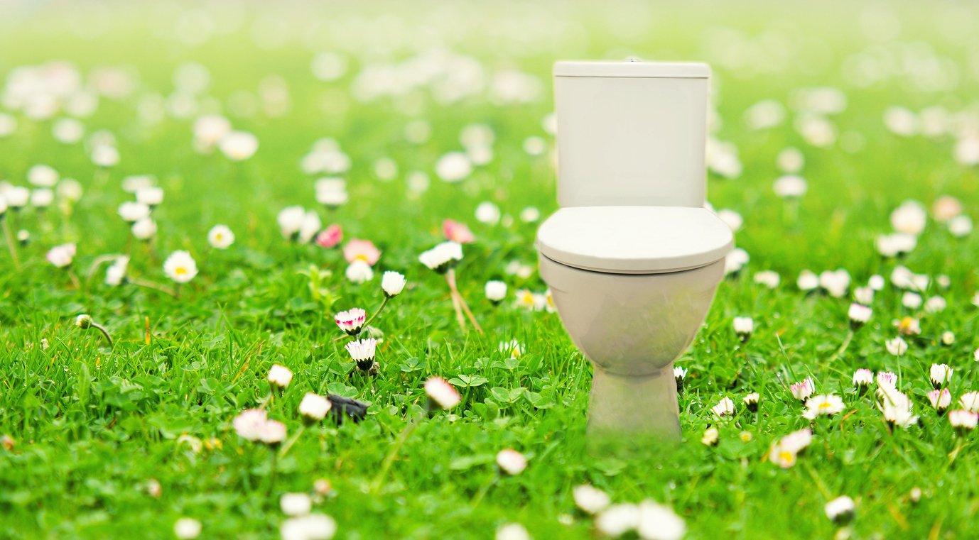 Eco-Friendly Toilets: Everything You Need to Know